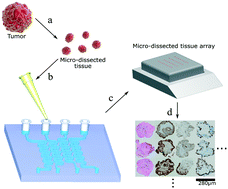 Paraffin-embedding lithography and micro-dissected tissue micro-arrays ...