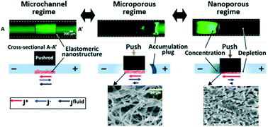 An on-demand micro/nano-convertible channel using an elastomeric ...