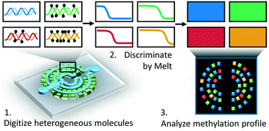 Multilayer microfluidic array for highly efficient sample loading and ...