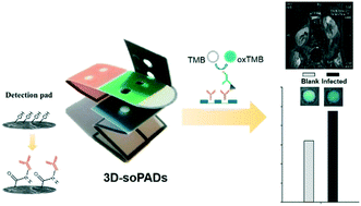Three-dimensional origami paper-based device for portable immunoassay ...