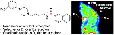 Synthesis and pre-clinical evaluation of a potential radiotracer for ...