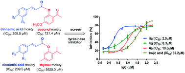 Design, synthesis and evaluation of cinnamic acid ester derivatives as ...