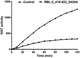 Inhibition of O-GlcNAc transferase (OGT) by peptidic hybrids ...