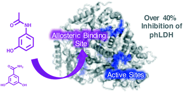 Small molecule cores demonstrate non-competitive inhibition of lactate ...