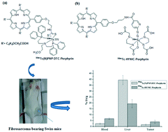 Preparation and evaluation of 99mTc-labeled porphyrin complexes ...