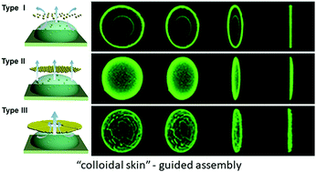 Large-scale colloidal films with robust structural colors - Materials ...