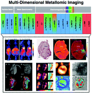 Across the spectrum: integrating multidimensional metal analytics for ...