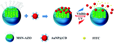 A reversible light-responsive assembly system based on host–guest ...