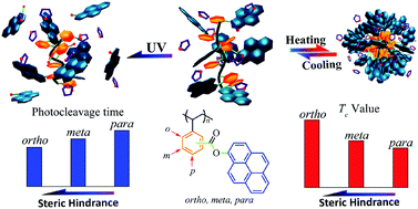 Steric hindrance effect on the thermo- and photo-responsive properties ...