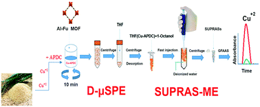 Metal–organic framework based micro solid phase extraction coupled with ...