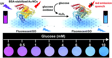 A ratiometric fluorescent paper sensor for consecutive color change ...