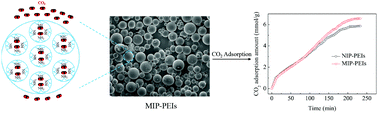 Preparation and characterization of molecularly imprinted solid amine ...