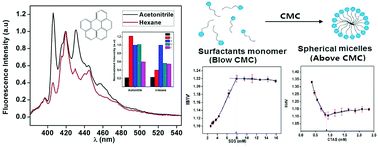 Benzo[ghi]perylene and coronene: ratiometric fluorescent probes for the ...