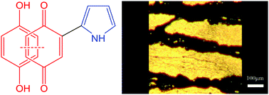 Oxidation of pyrrole with p-benzoquinone to semiconducting products and ...