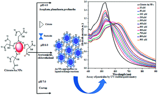 Ligand exchange reactions on citrate-gold nanoparticles for a parallel ...