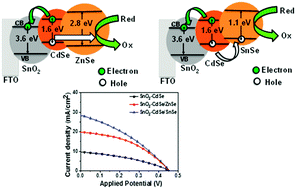 High current density cation-exchanged SnO2–CdSe/ZnSe and SnO2–CdSe/SnSe ...