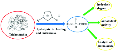 Hydrolysis of trichosanthin (TCS) catalyzed by imidazolium-based ionic ...