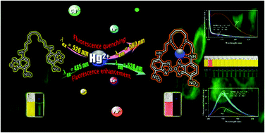 Triple detection modes for Hg2+ sensing based on a NBD-fluorescent and ...