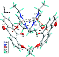 NHC Hg(ii) and Pd(ii) complexes based on 1,8-dihydroxy-9,10 ...