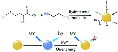 Facile synthesis of nitrogen and sulfur co-doped carbon dots for multiple sensing capacities ...