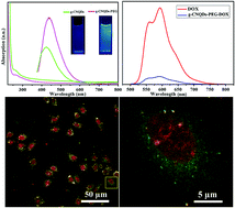 Fabrication of PEGylated graphitic carbon nitride quantum dots as ...