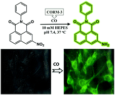A naphthalimide-based fluorescence ‘‘turn-on’’ chemosensor for highly selective detection of ...