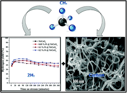 Catalytic decomposition of undiluted methane into hydrogen and carbon ...