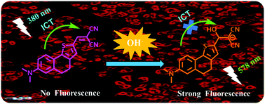 A novel colorimetric and fluorescence turn-on pH sensor with a notably ...