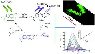 Development of a two-photon turn-on fluorescent probe for cysteine and ...