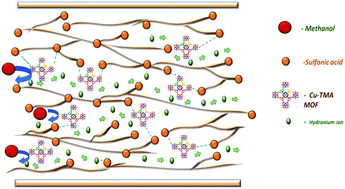 A copper–trimesic acid metal–organic framework incorporated sulfonated ...