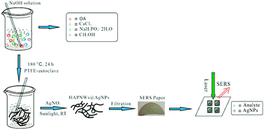 Silver nanoparticle-incorporated ultralong hydroxyapatite nanowires ...