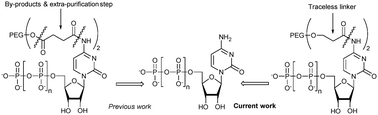 New insights for the preparation of cytidine containing nucleotides ...