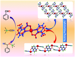 Packing polymorphism in 3-amino-2-pyrazinecarboxylate based tin(ii ...