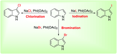 PhI(OAc)2/NaX-mediated halogenation providing access to valuable ...