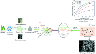 Kinetics of manganese leaching from an iron-rich manganese dioxide ore ...