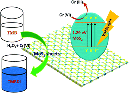 Metal free MoS2 2D sheets as a peroxidase enzyme and visible-light ...