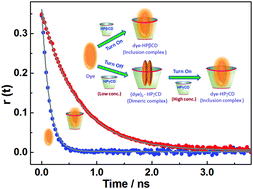 Contrasting interactions of DNA-intercalating dye acridine orange with ...
