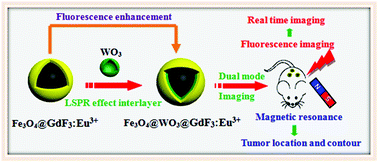 LSPR effects in a magnetic–luminescent heterostructure for efficient ...