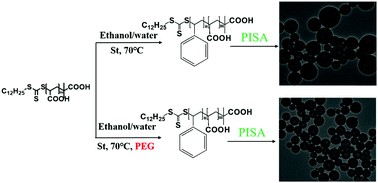In situ synthesis of PAA-b-PSt nano-assemblies via dispersion RAFT ...