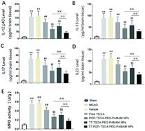 Neutrophil affinity for PGP and HAIYPRH (T7) peptide dual-ligand ...
