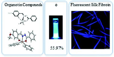 Fluorescent organotin compounds as dyes in silk fibroin (Bombyx mori): ultrasound-assisted ...