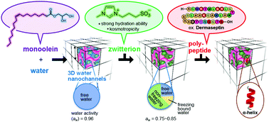 Improvement of lipidic bicontinuous cubic phases by the addition of a ...