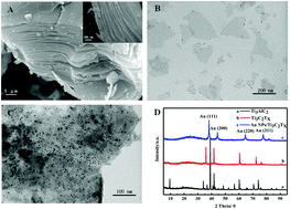 Au nanoparticles supported on functionalized two-dimensional titanium ...