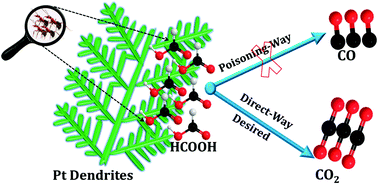 Tailored dendritic platinum nanostructures as a robust and efficient ...