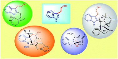 Tryptophol and derivatives: natural occurrence and applications to the ...