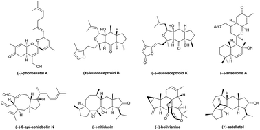 Total synthesis of sesterterpenoids - Natural Product Reports (RSC ...