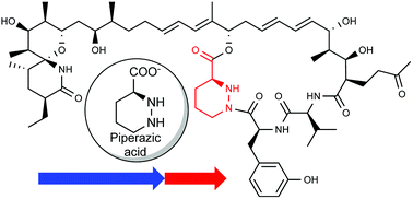 Piperazic acid-containing natural products: structures and biosynthesis ...