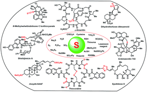 Construction of sulfur-containing moieties in the total synthesis of ...