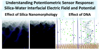 Molecular dynamics simulation of potentiometric sensor response: the ...