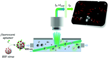 Selective counting and sizing of single virus particles using ...